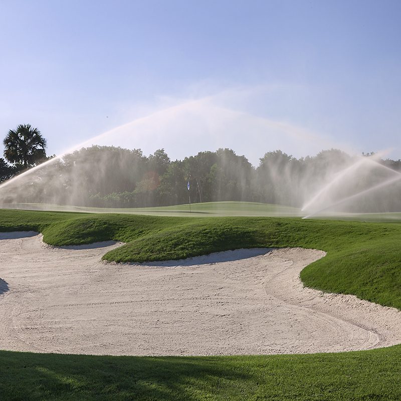 Homepage - Golf Insighter